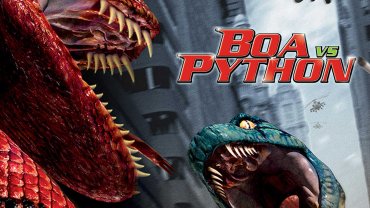 Boa vs python wikipedia - passavehicle